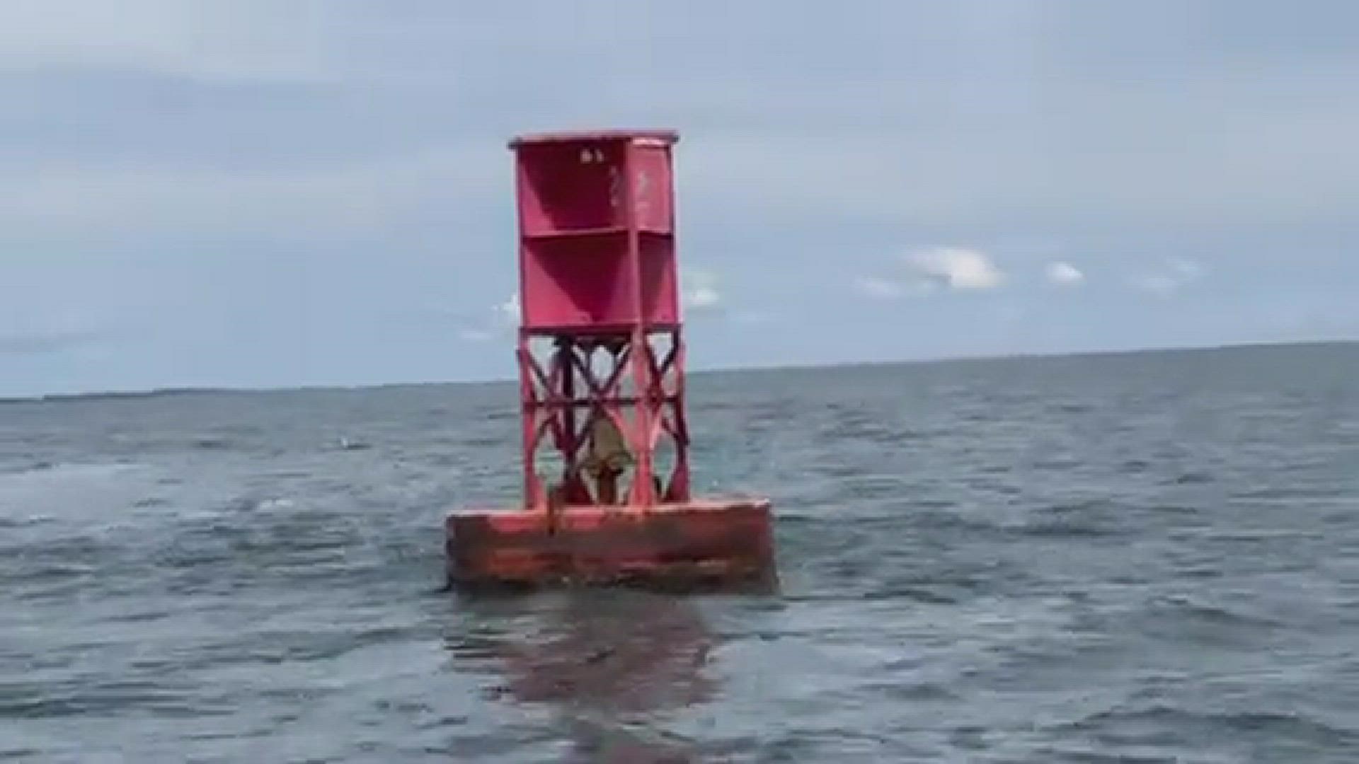 Cape Porpoise bell buoy | newscentermaine.com