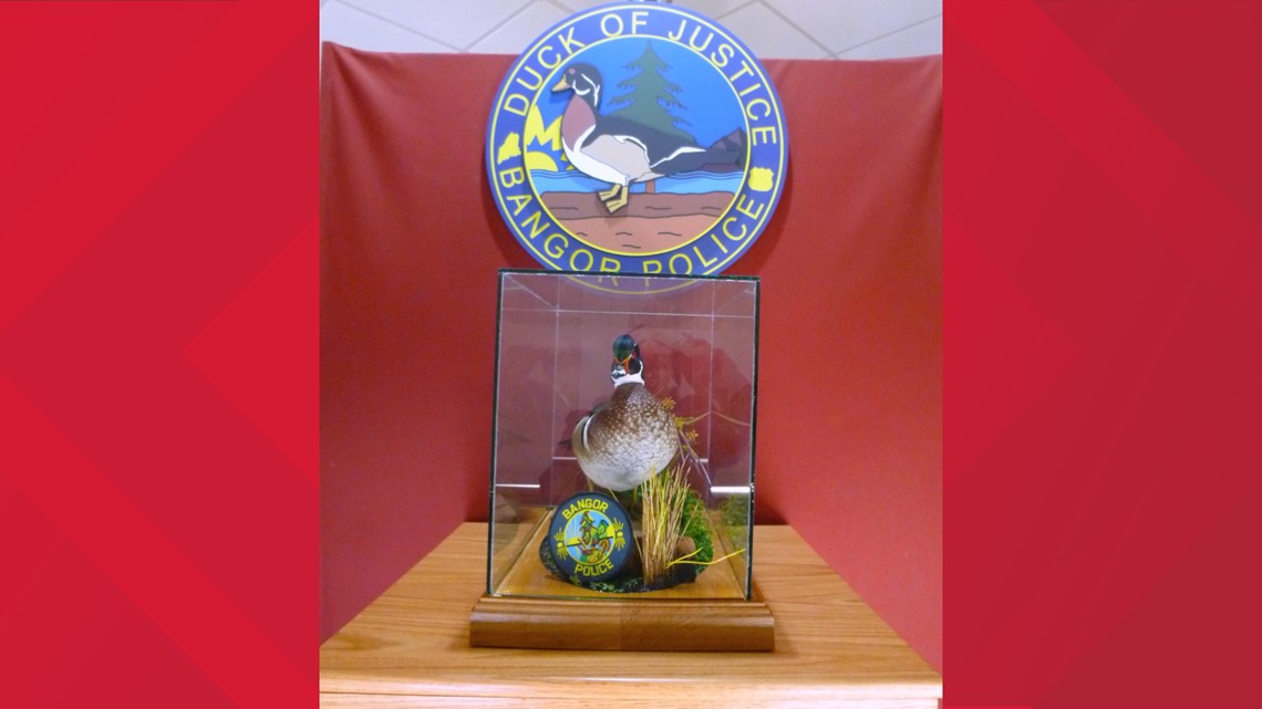 Maine 'Duck of Justice' creator retires to pursue writing career ...