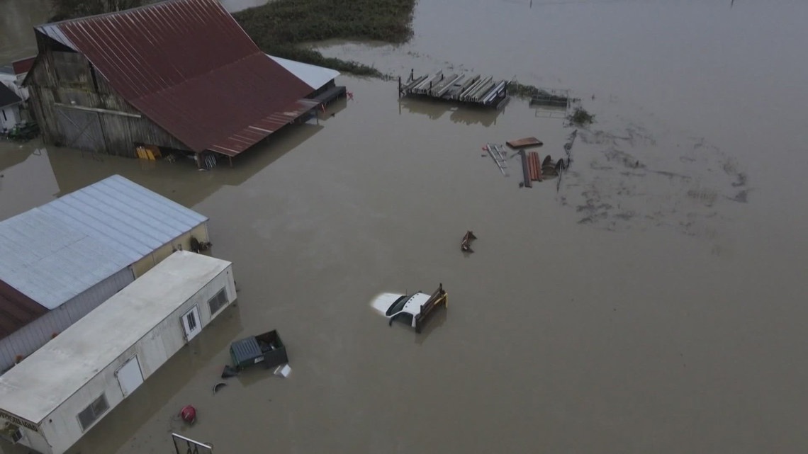Washington theater near Seattle offers free movies after devastating ...