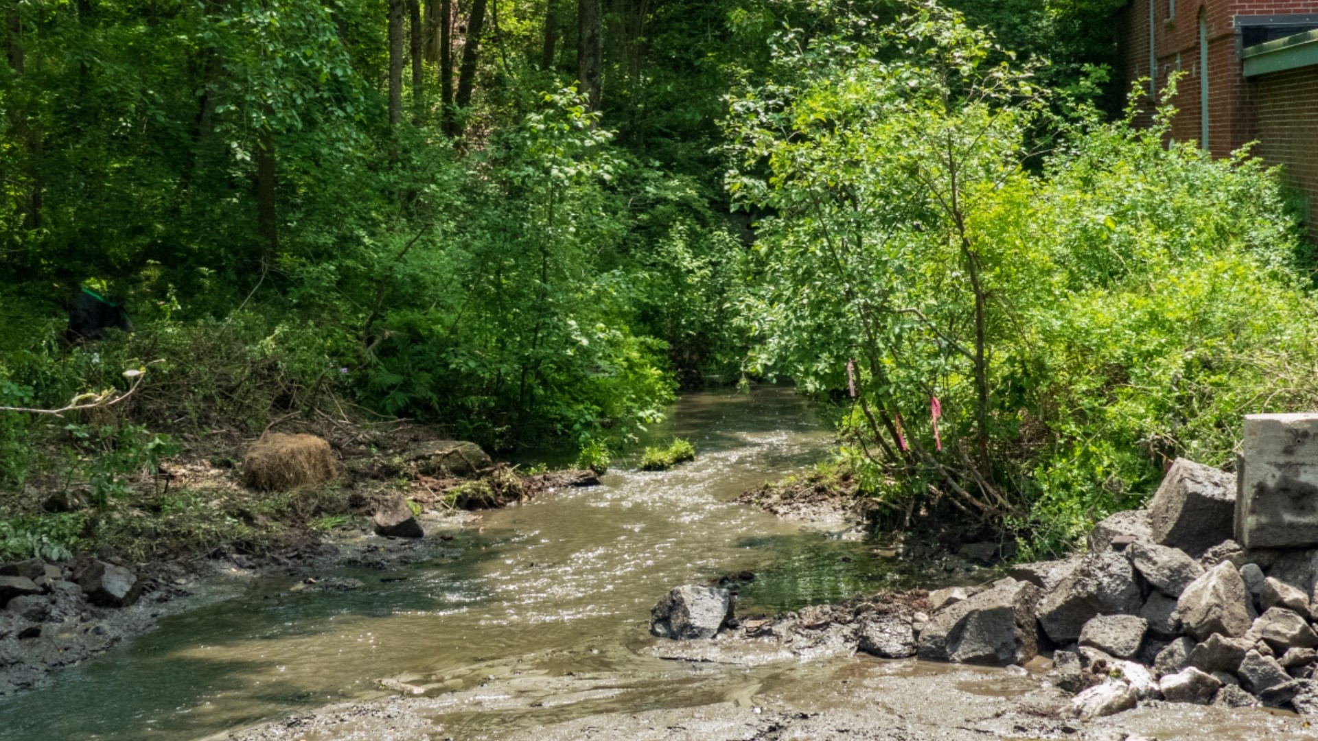 Water is free flowing after Freeport removes 100 year old dam ...