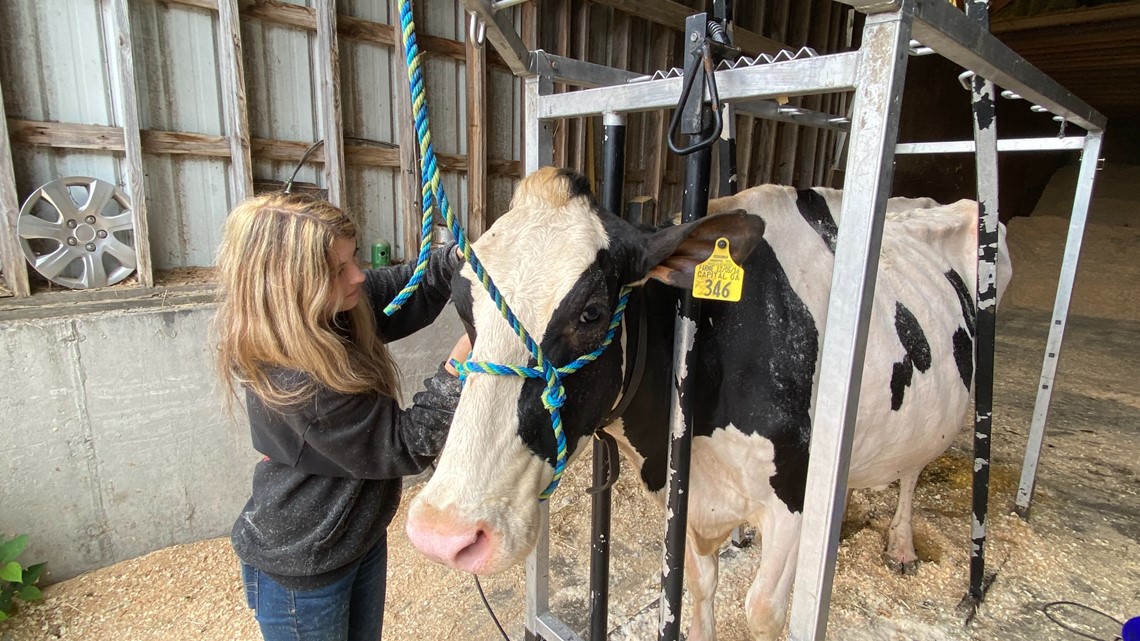 Three kids carry on the farming family tradition | newscentermaine.com