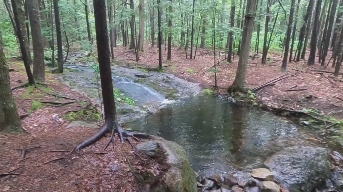 Free state park admission in Maine for library card holders on ...