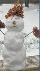 Maine and New Hampshire snow totals for Sunday storm | newscentermaine.com