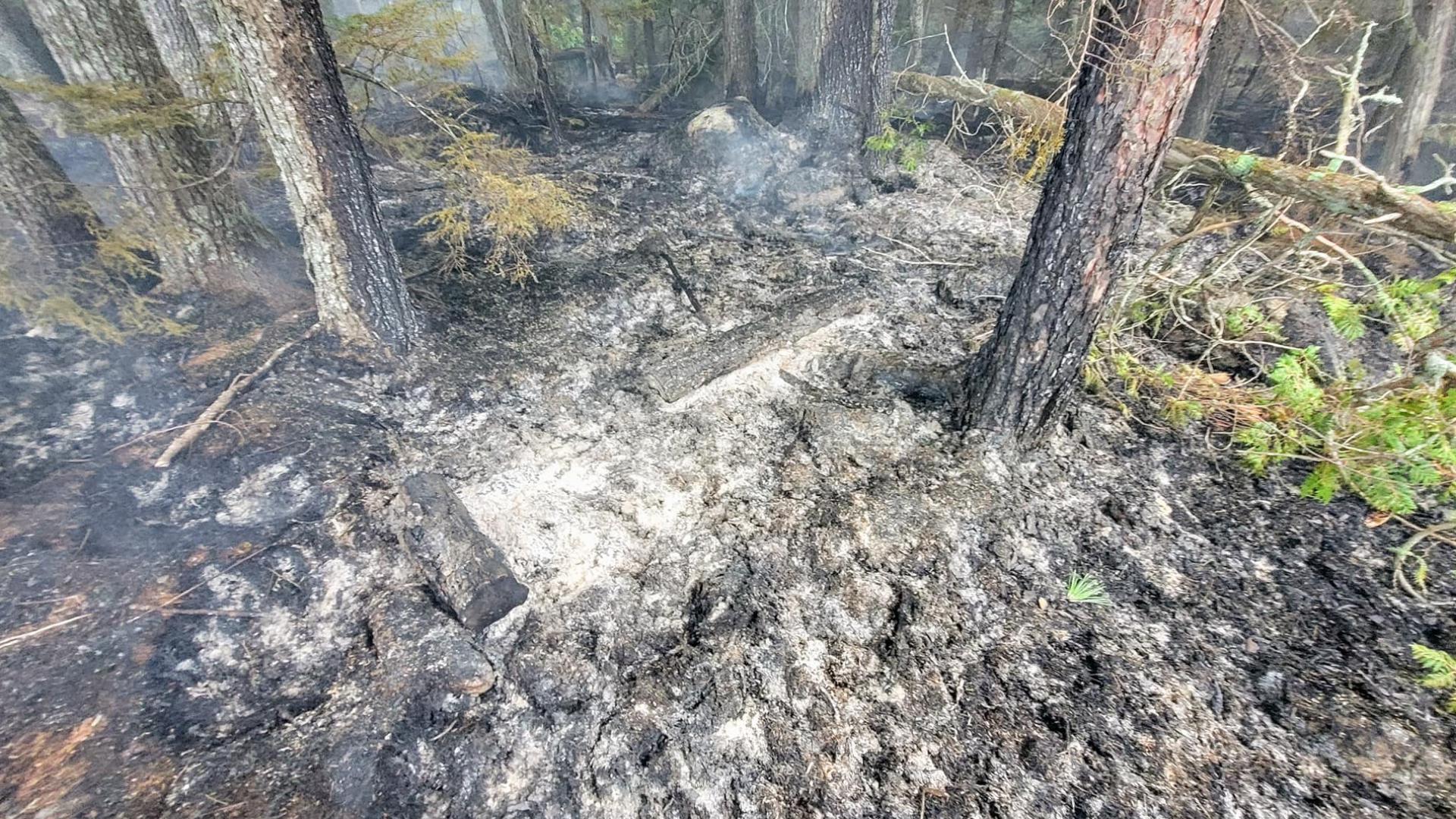 Maine Forest Rangers investigating illegal campfires | newscentermaine.com