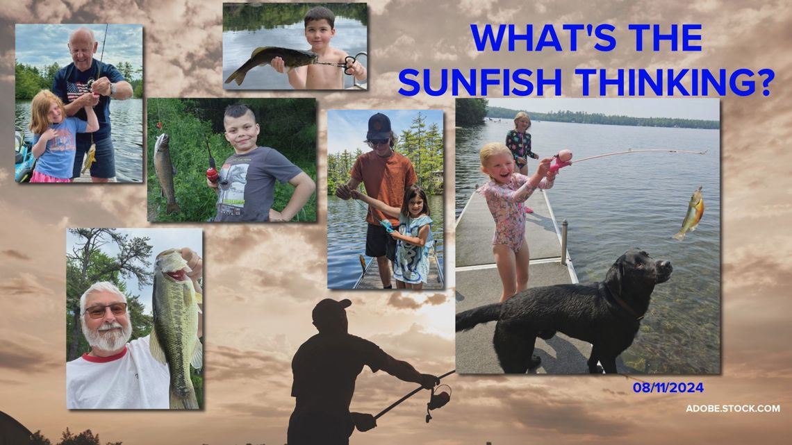 Big Ol' Fish: What's the Sunfish Thinking? | newscentermaine.com