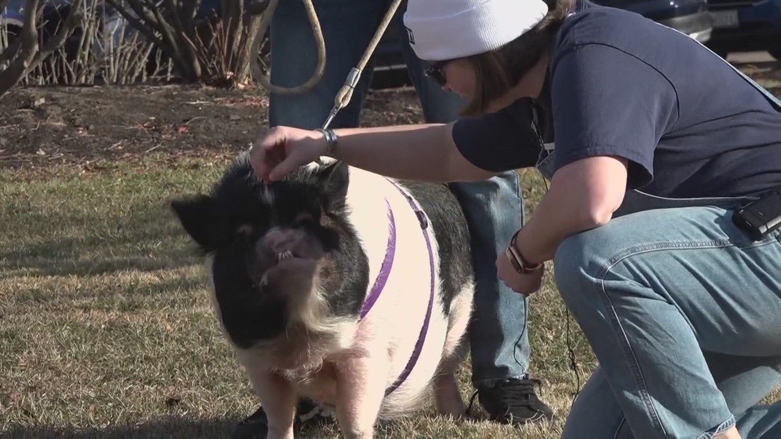 Maine principal honors bet with students who met reading goals ...