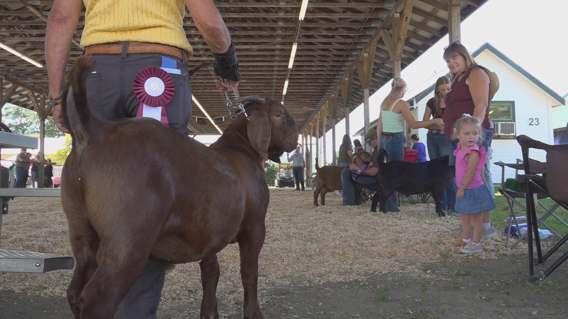 Windsor Fair celebrates 137 years of Maine agricultural traditions ...