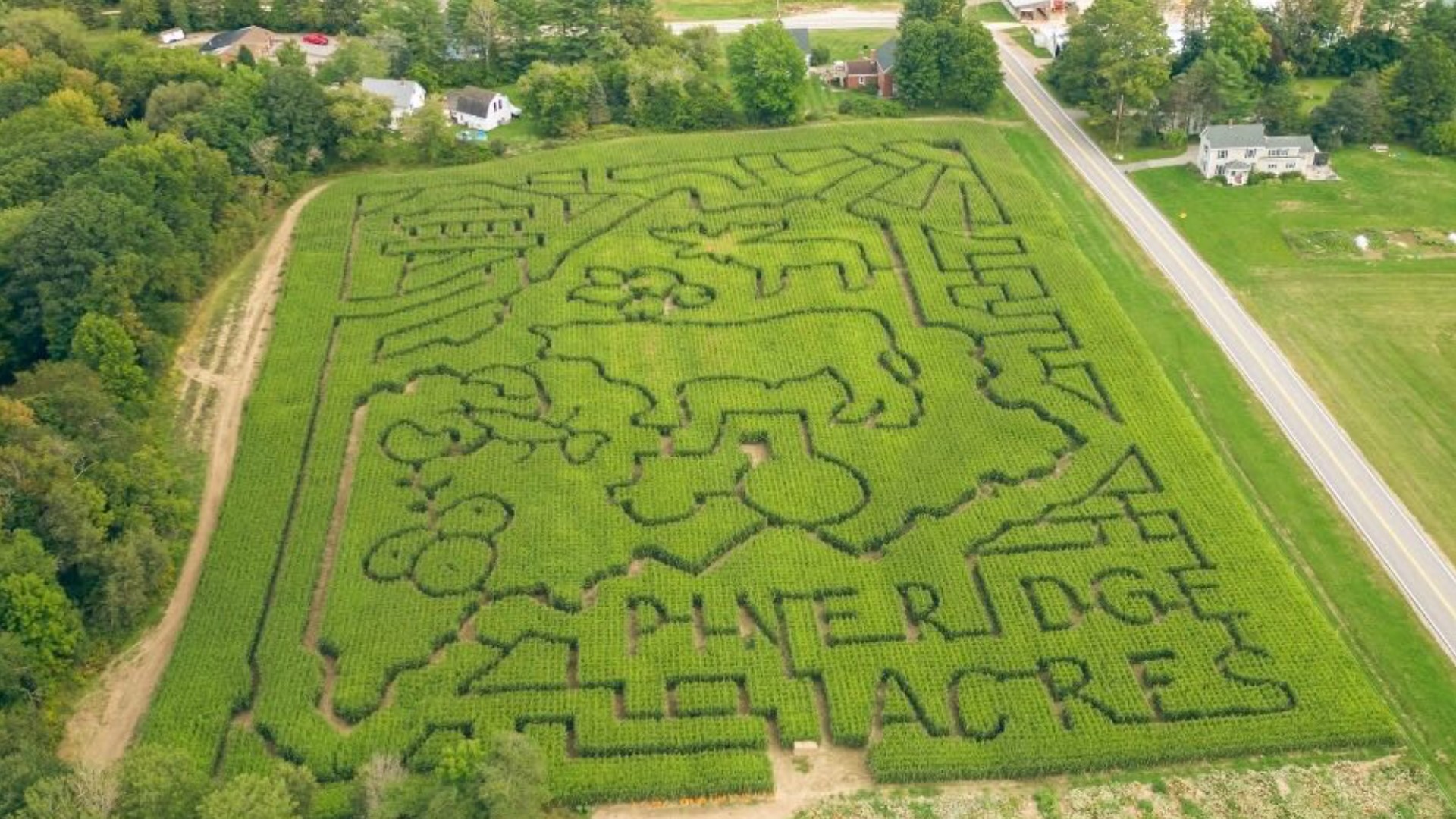 'It's corn!' | A list of 2022 Maine corn mazes | newscentermaine.com