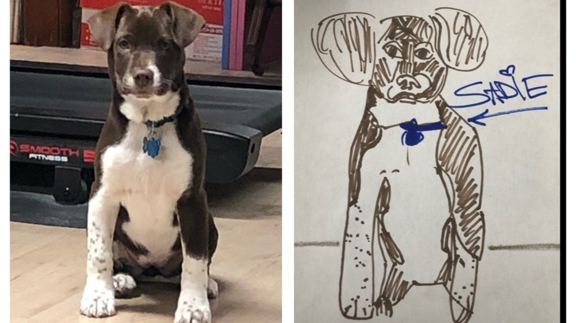 Maine humane society has 'poorly drawn pet portraits' fundraiser ...