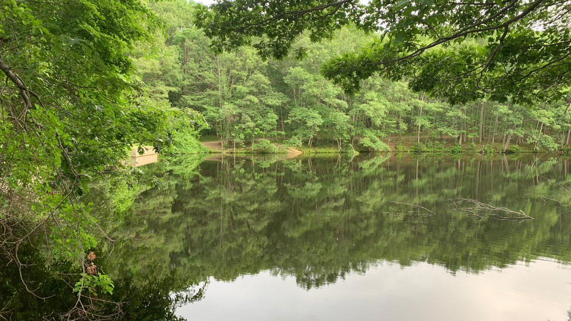 Potentially harmful algae found in South Portland Maine park ...
