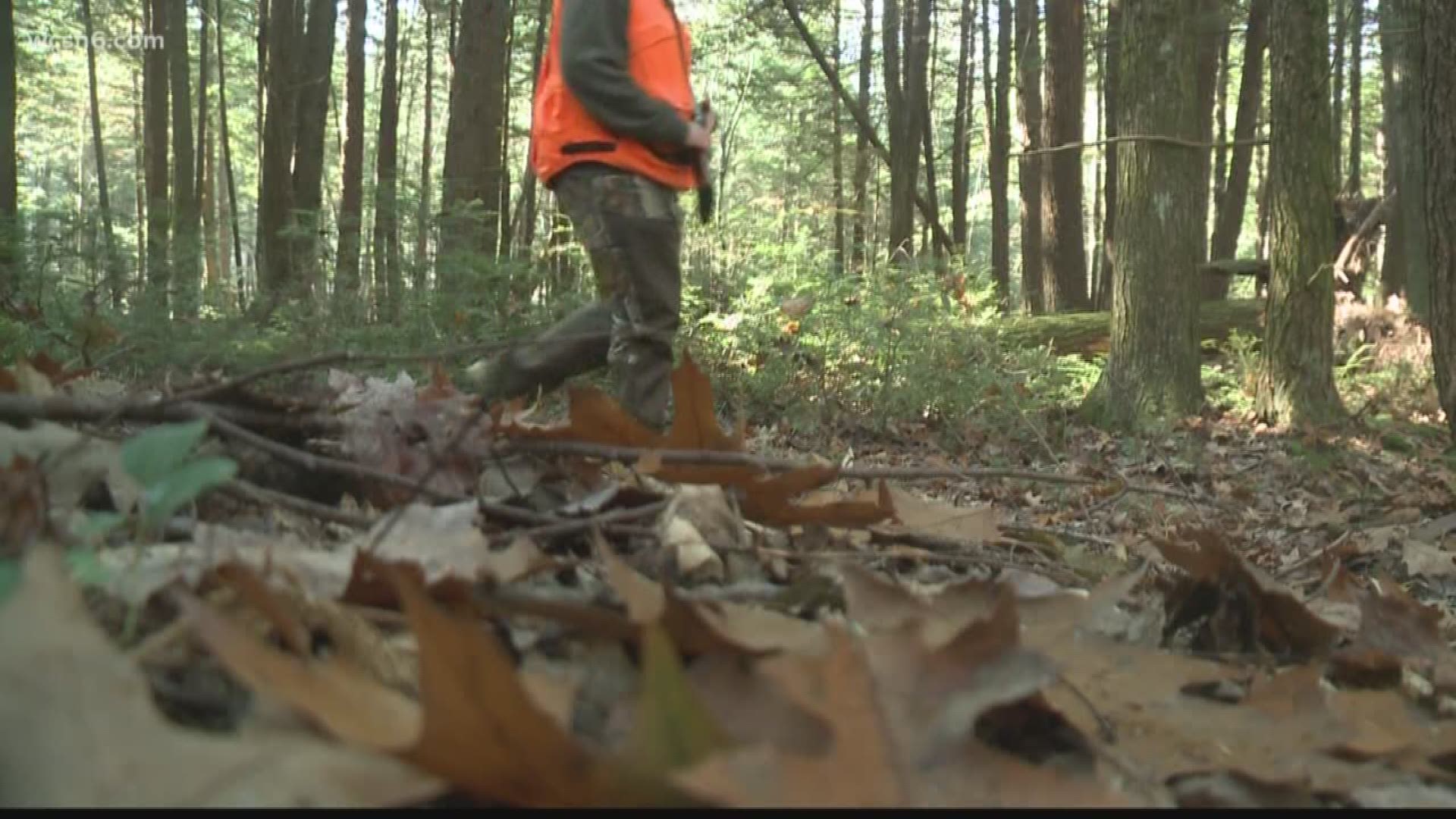 What types of training do Maine hunters get? | newscentermaine.com