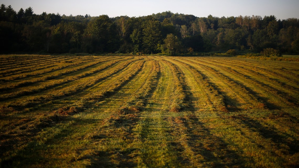 Farmers want bill to ban 'forever chemical' sludge in fields ...