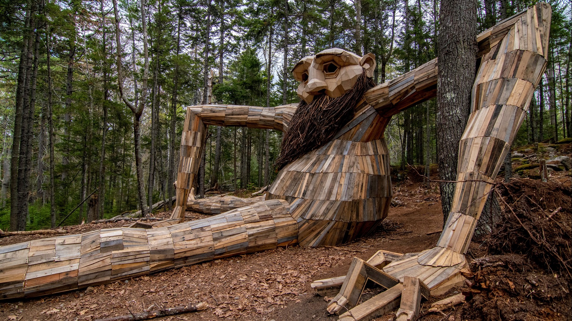 Giant trolls take over the forest at Coastal Maine Botanical Gardens ...