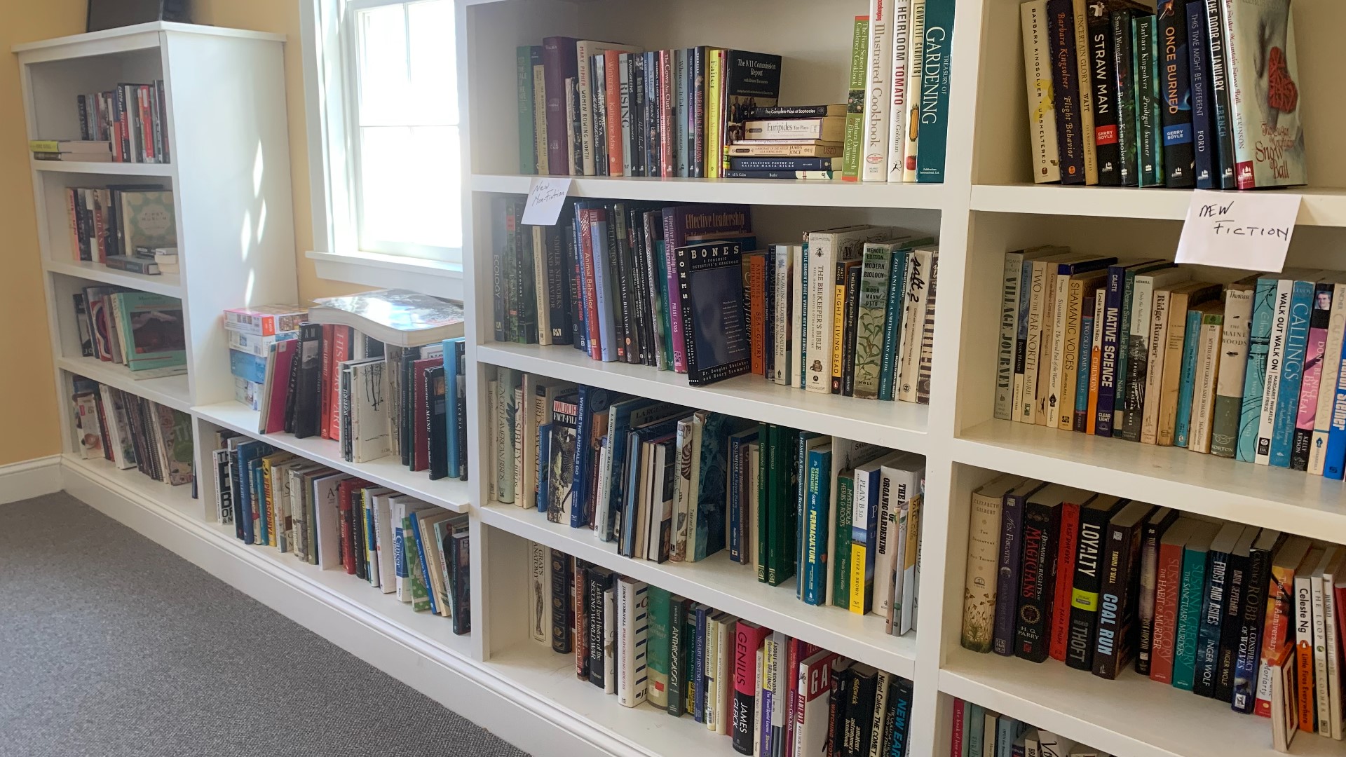 Two Women Create New Public Library In Town Of Unity