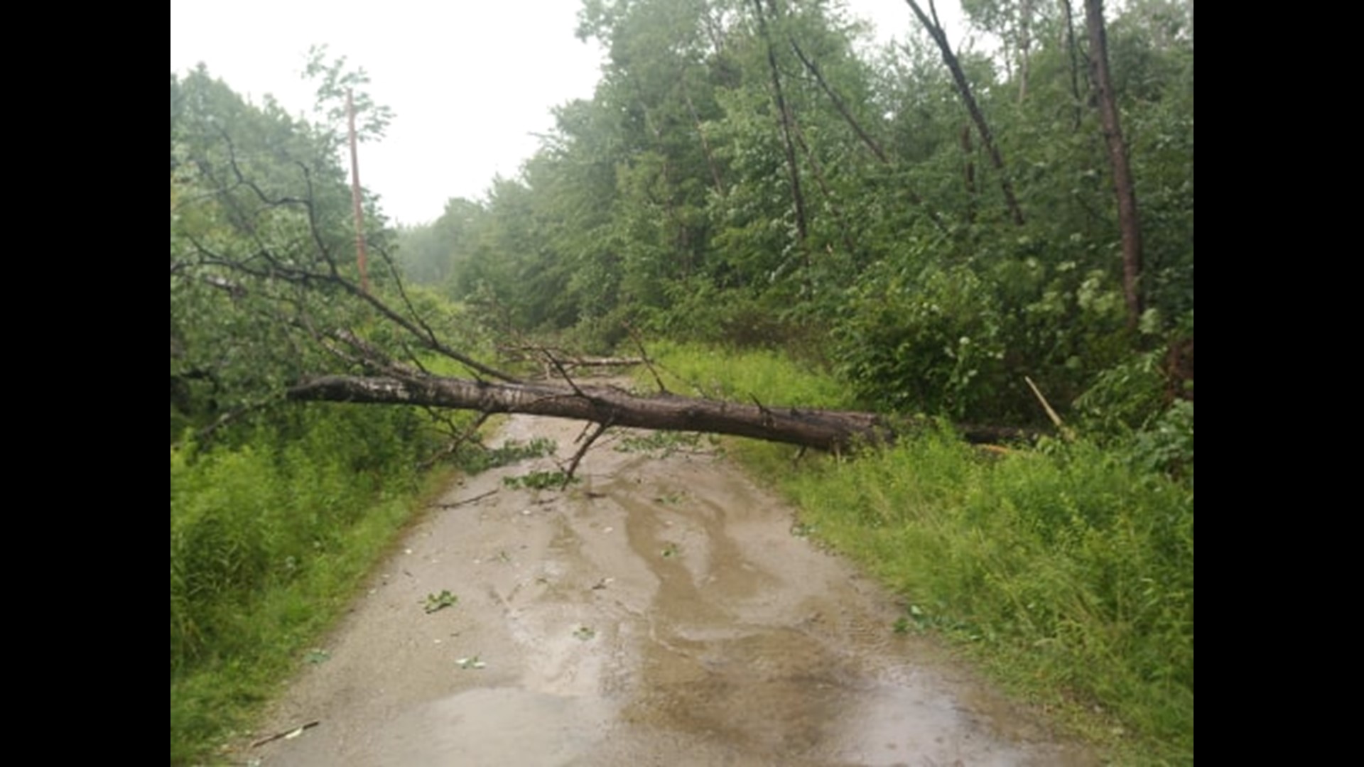 Viewer photos of storm damage and clouds across Maine | newscentermaine.com
