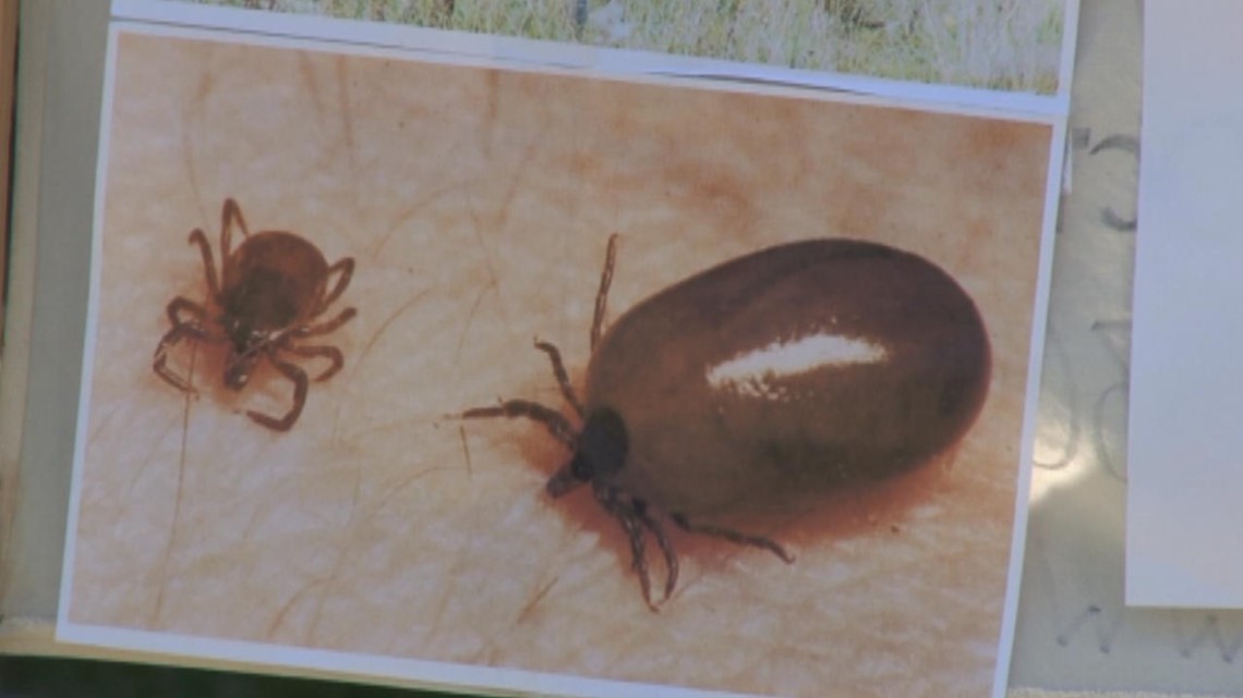 'It was extreme': Patient describes emerging tick-borne illness ...