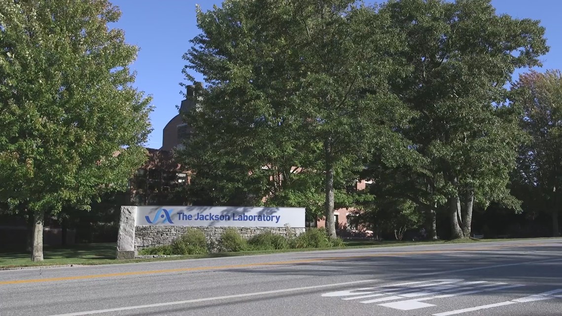 Jackson Laboratory receives $9.5 million more in funding in 2020 than ...