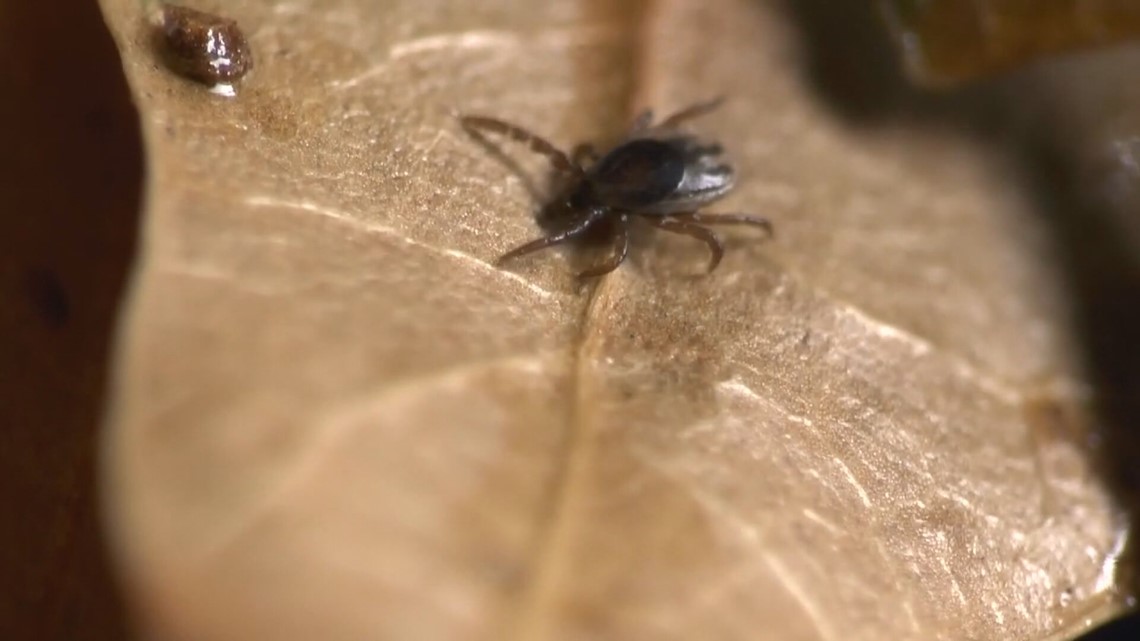 Funding the fight against ticks | newscentermaine.com