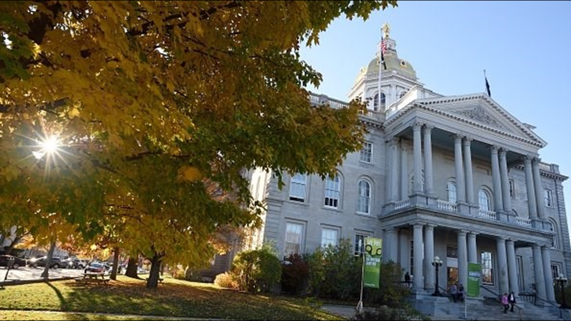 New Hampshire Democrat Rosemarie Rung loses seats over tweet ...