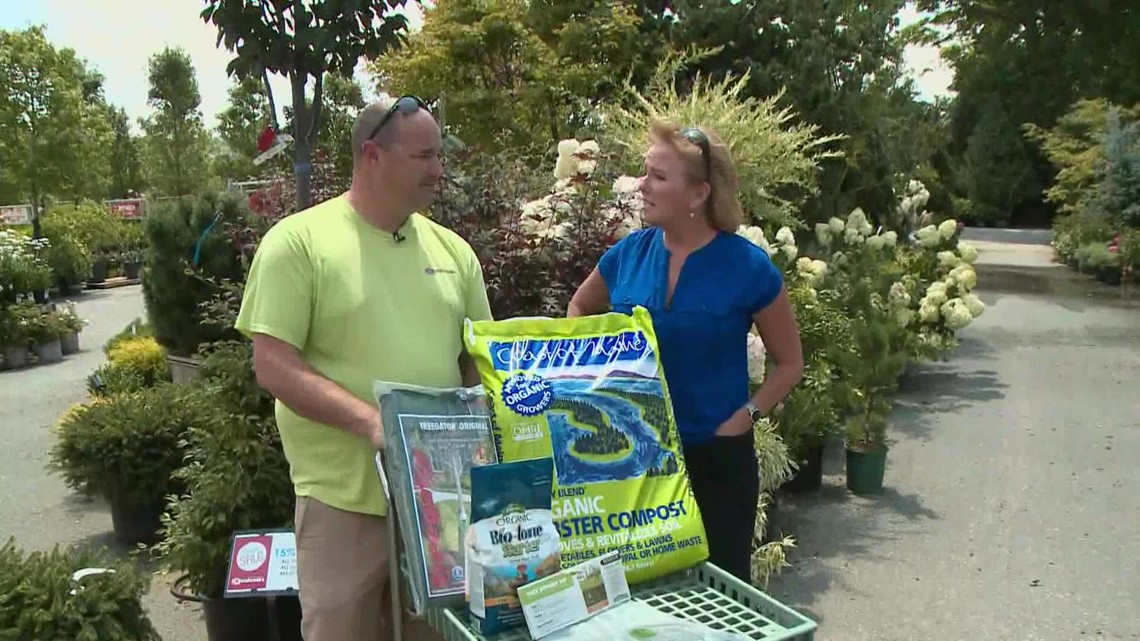 Planting a tree this fall? Start planning now | newscentermaine.com