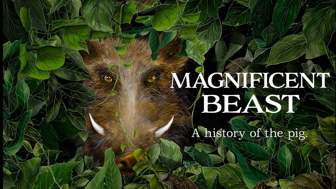 'Interesting companions but formidable foes' | Maine filmmakers explore ...