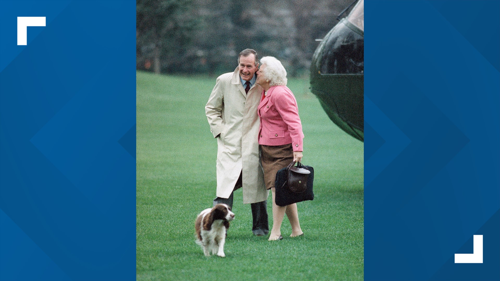 Mt. Rushmore of White House dogs begins with Mrs. Bush's Millie ...
