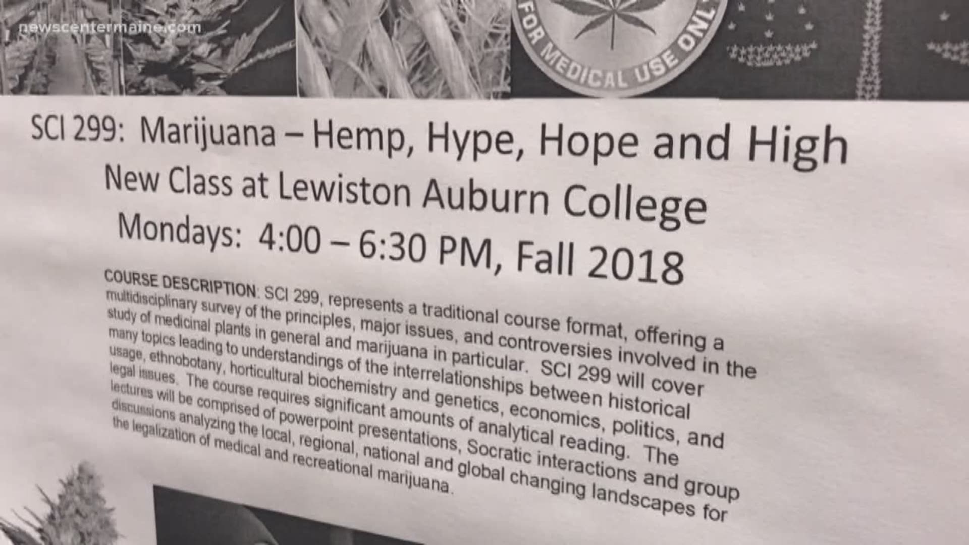 Marijuana 101: A college course on cannabis | newscentermaine.com