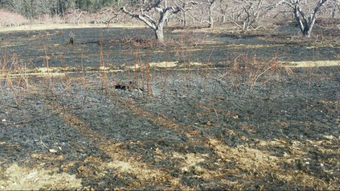 Nearly 100 wildfires in Maine so far this year according to Forest ...