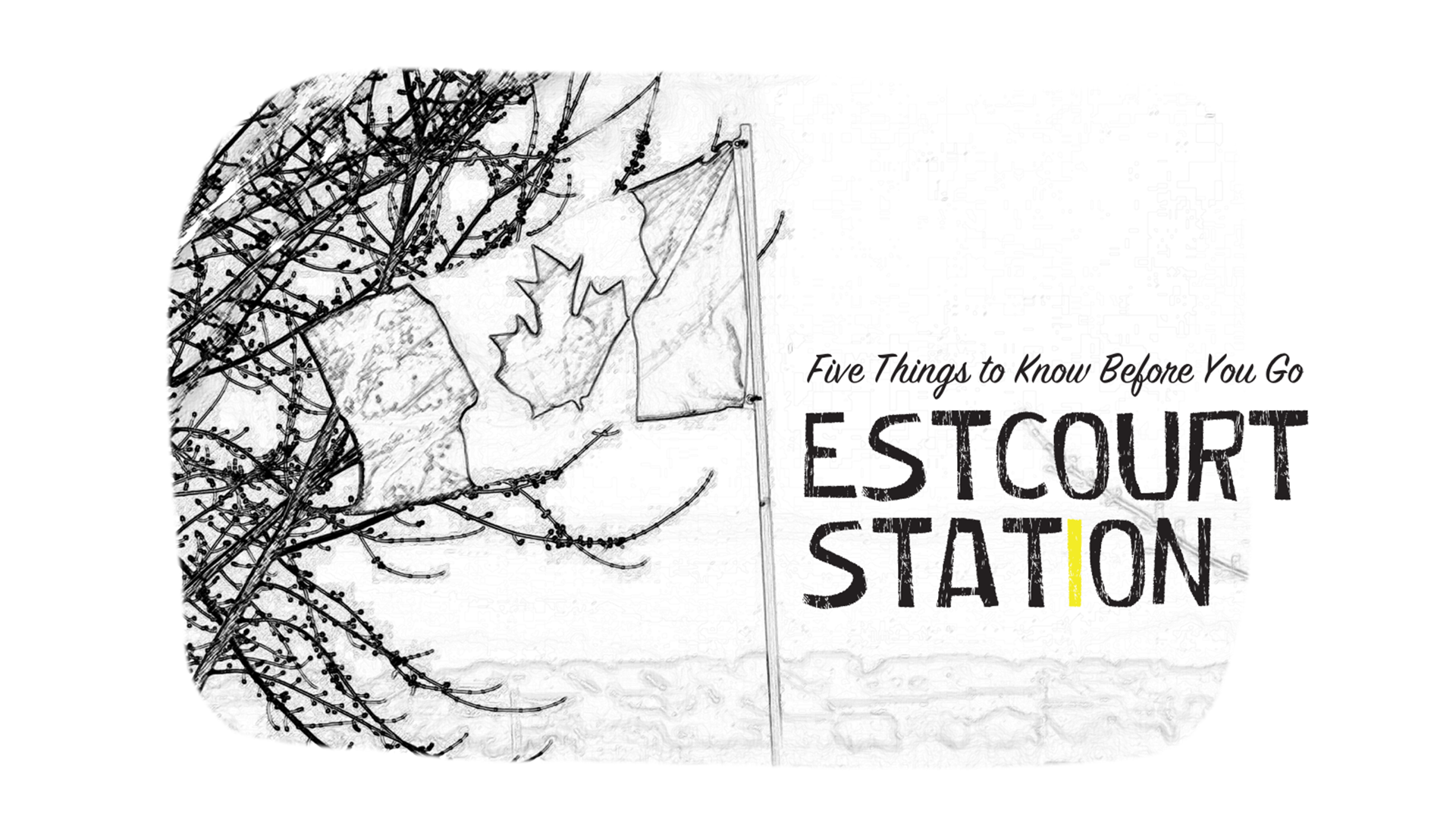 Estcourt Station: 5 things to know before you go | newscentermaine.com