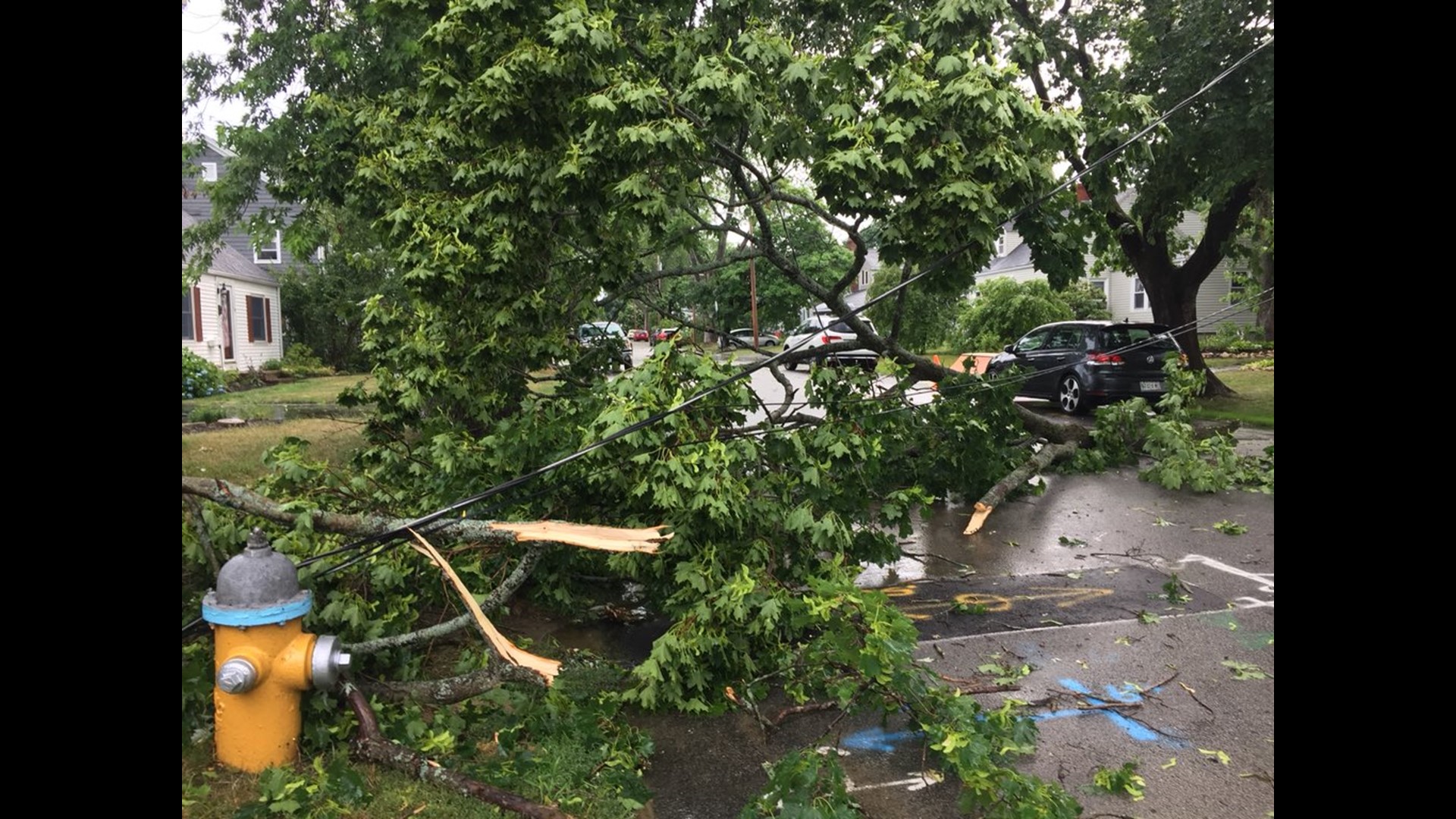 Was the storm over Greater Portland a downburst, microburst, macroburst ...