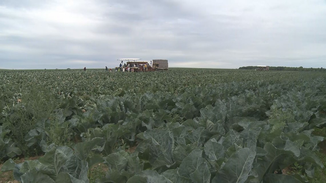 Sixth-generation Smith's Farm is one of the East's largest ...