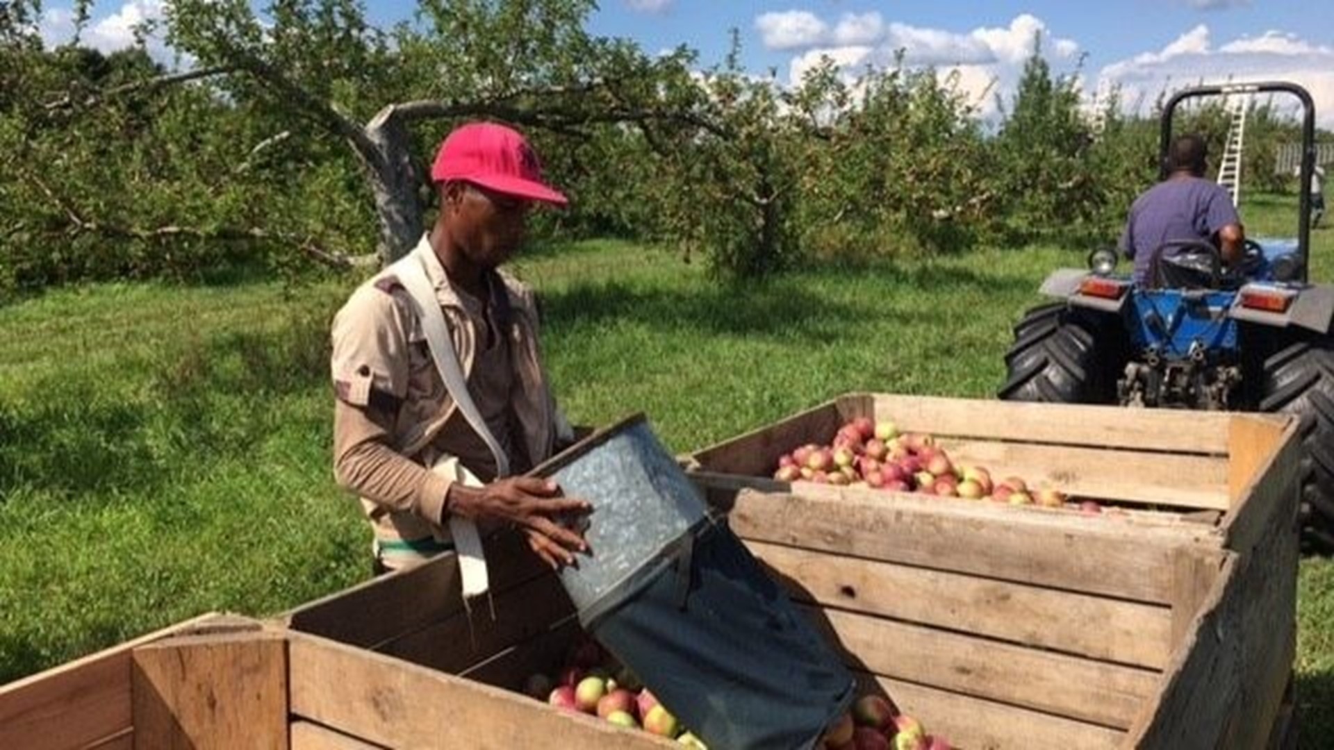 Photos: Ricker Hill Orchards in Turner | newscentermaine.com