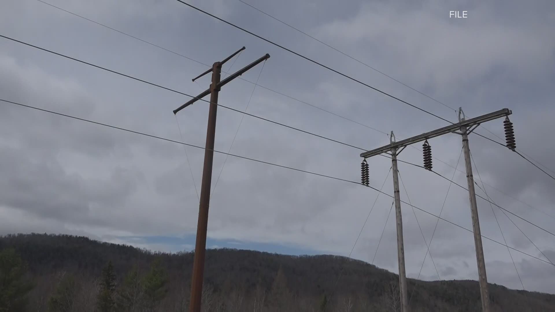 Bats end Maine power line tree-cutting for two months | newscentermaine.com