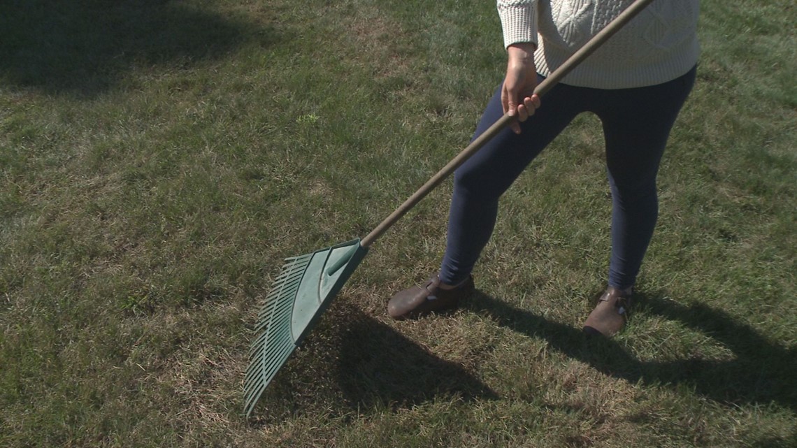 What if you're raking leaves the wrong way? | newscentermaine.com