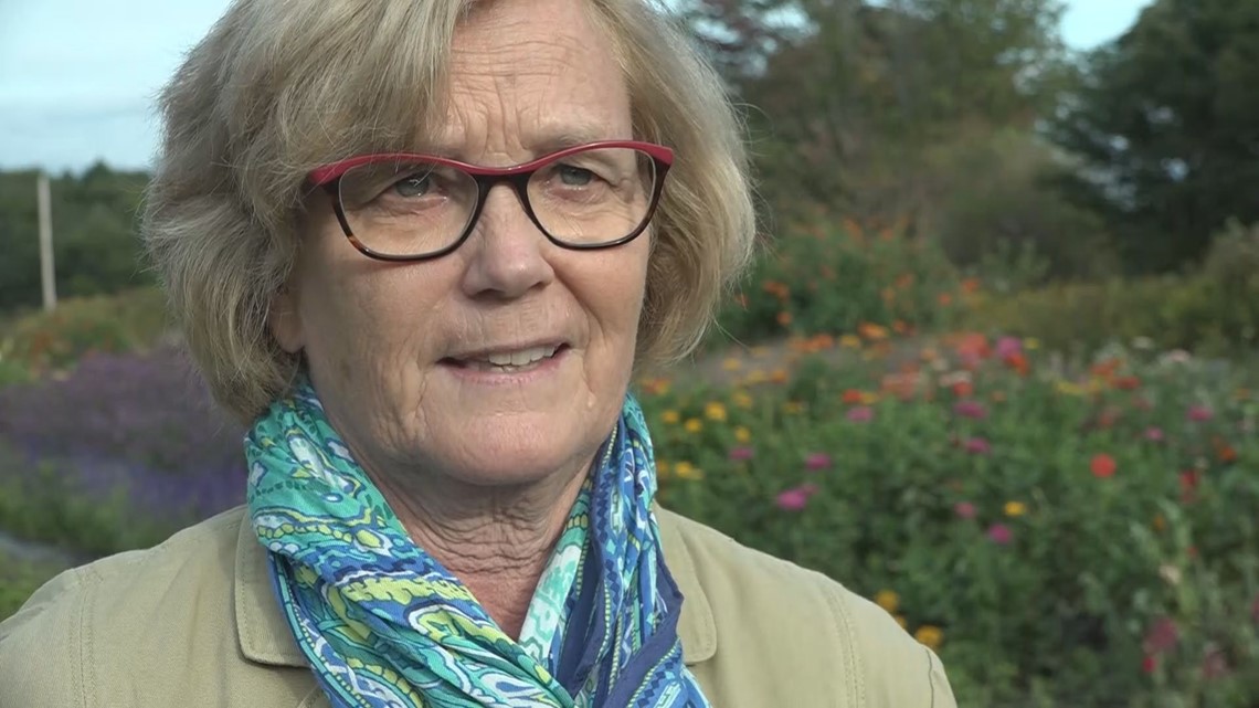 Rep. Pingree: 'There are a lot of people who are frustrated ...