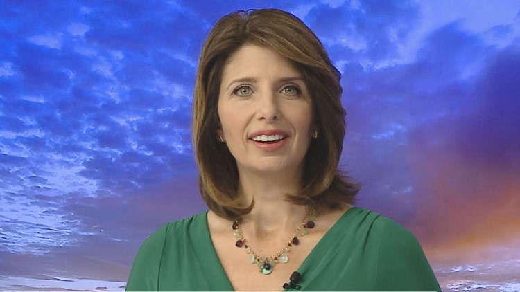 Veteran news anchor, Adrienne Stein, returns to Maine airwaves ...