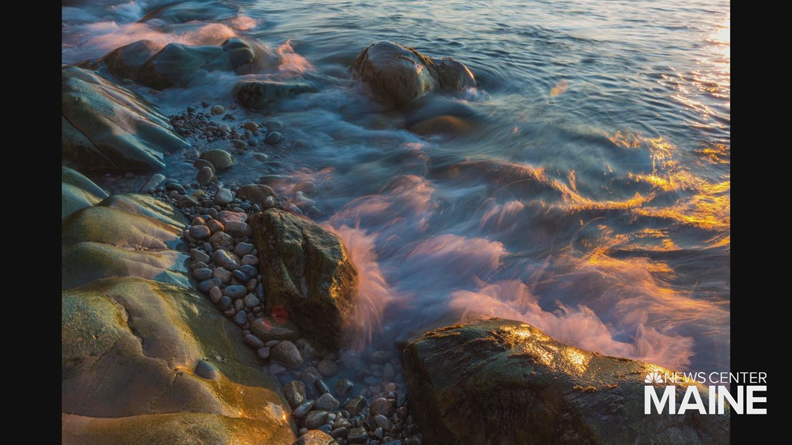 How does a master of nature photography get great shots? Persistence ...