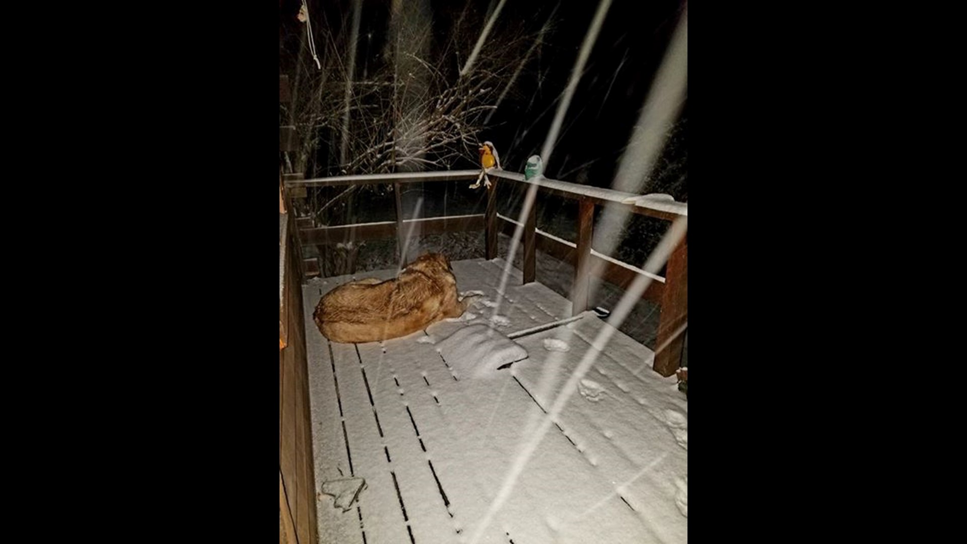 First major snowfall for many parts of Maine | newscentermaine.com