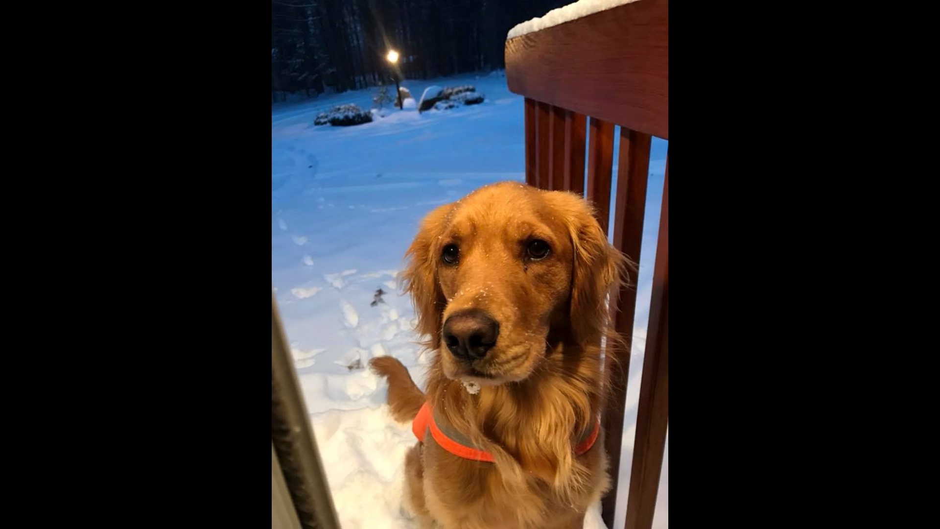 First major snowfall for many parts of Maine | newscentermaine.com