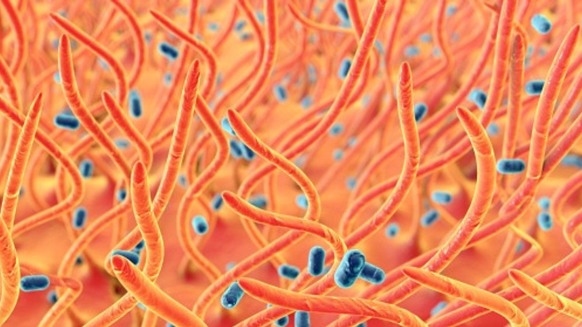 Whooping cough cases on the rise in Maine | newscentermaine.com