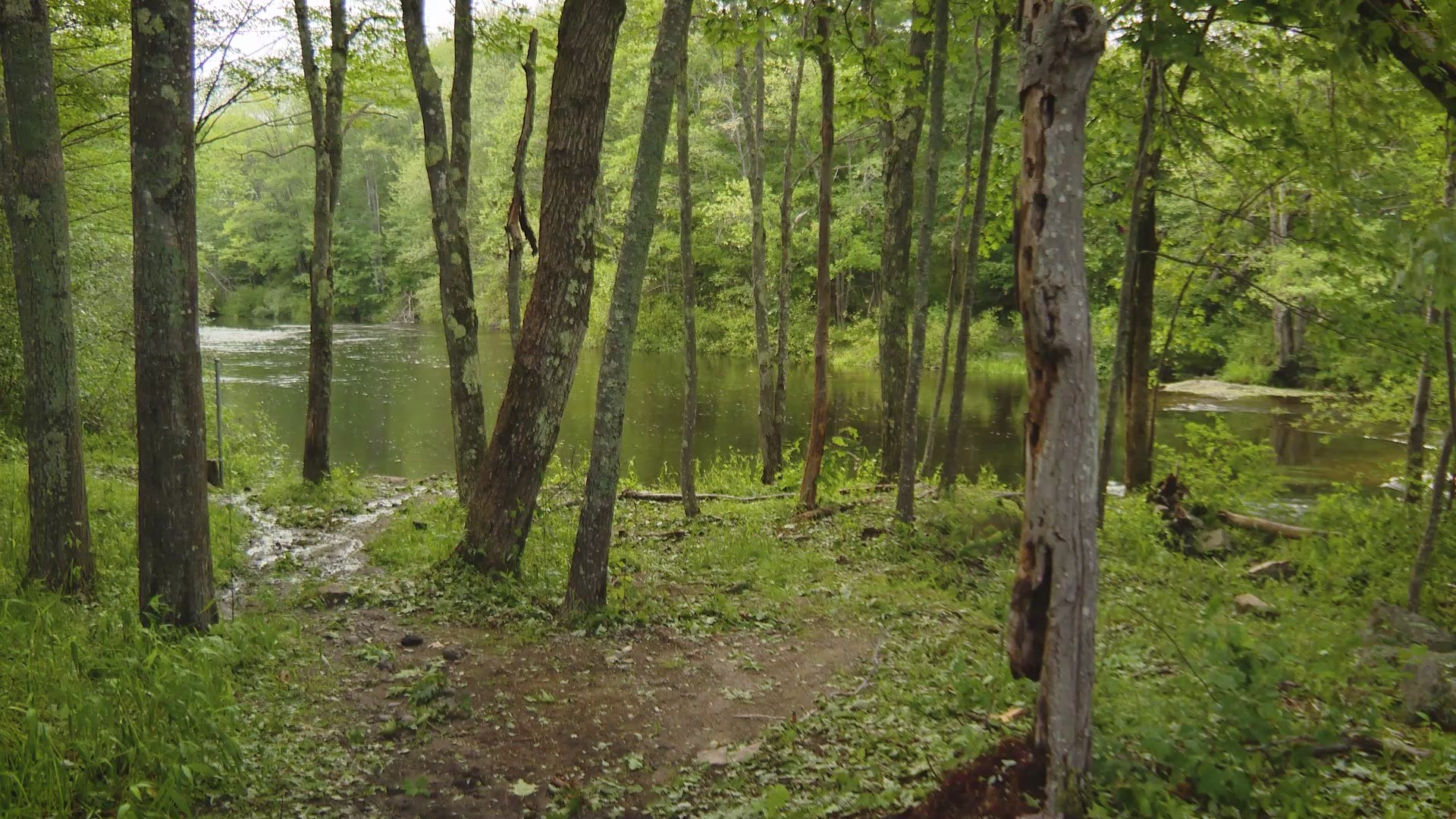 Breath of Fresh Air: Mousam River in Sanford | newscentermaine.com