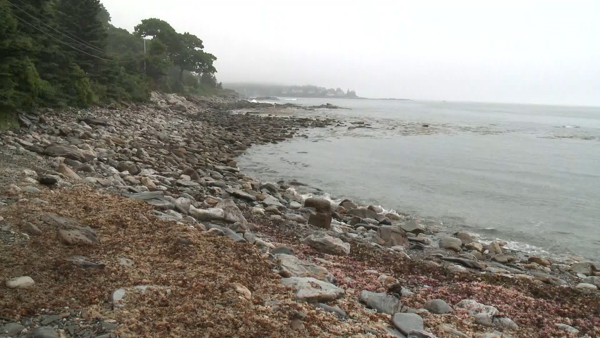 Freeport woman's body found offshore by Coast Guard | newscentermaine.com