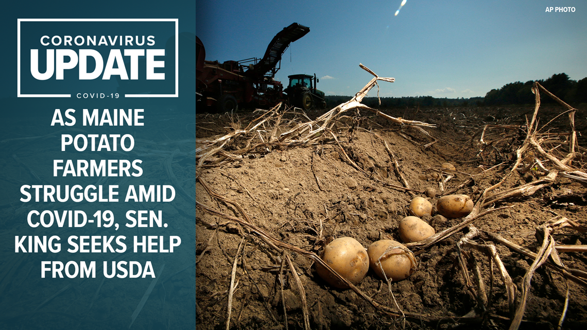 Maine potato industry struggles amid COVID-19, coronavirus ...