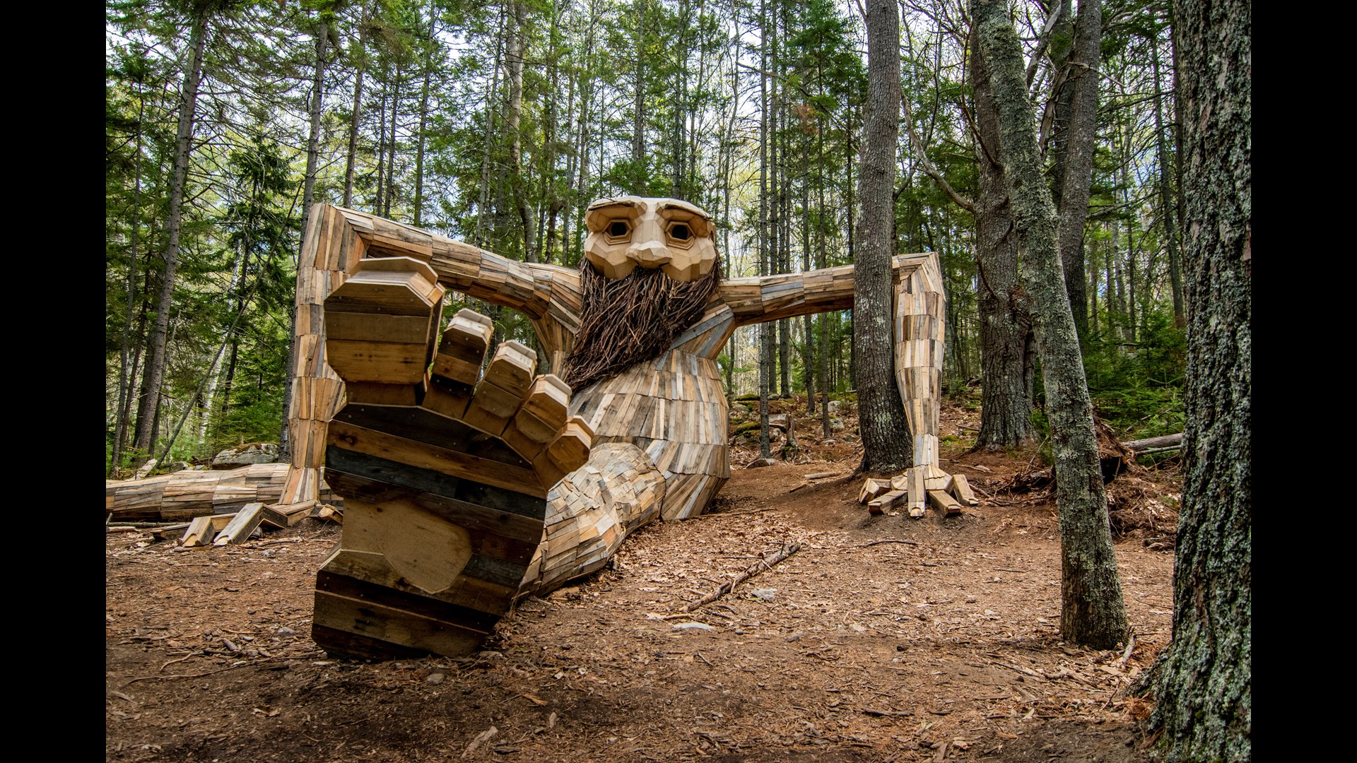 Giant trolls take over the forest at Coastal Maine Botanical Gardens ...