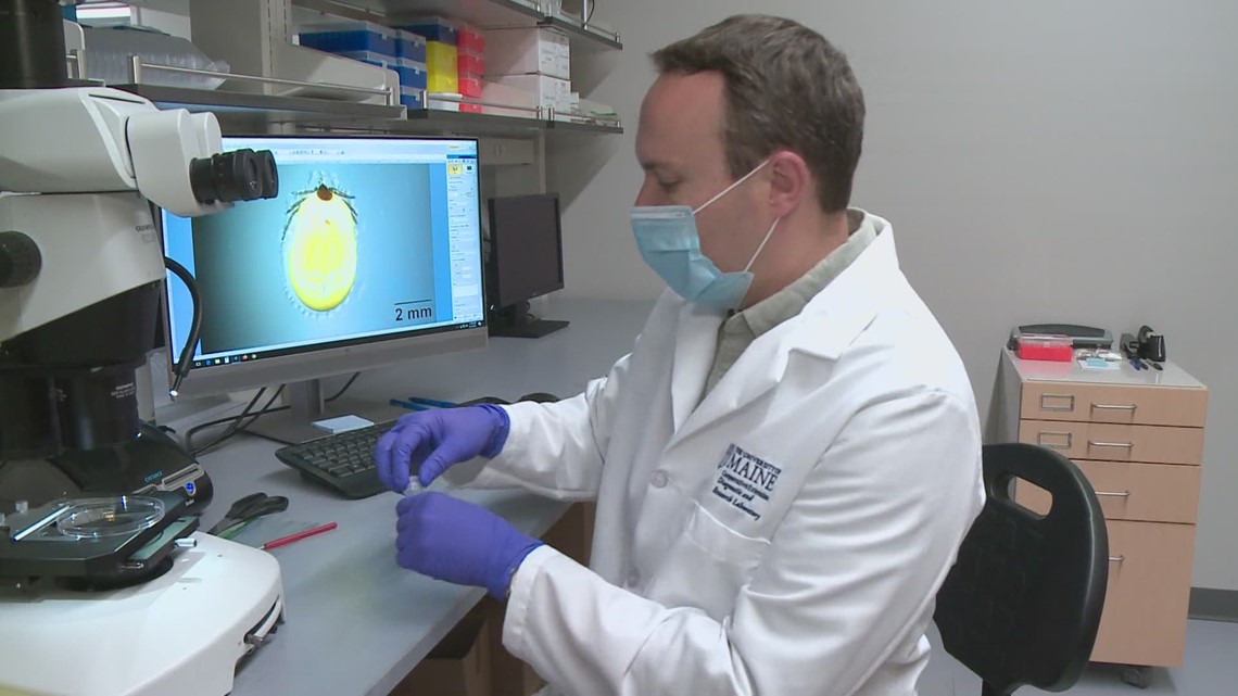 The Maine Tick Lab provides important data following a tick bite ...