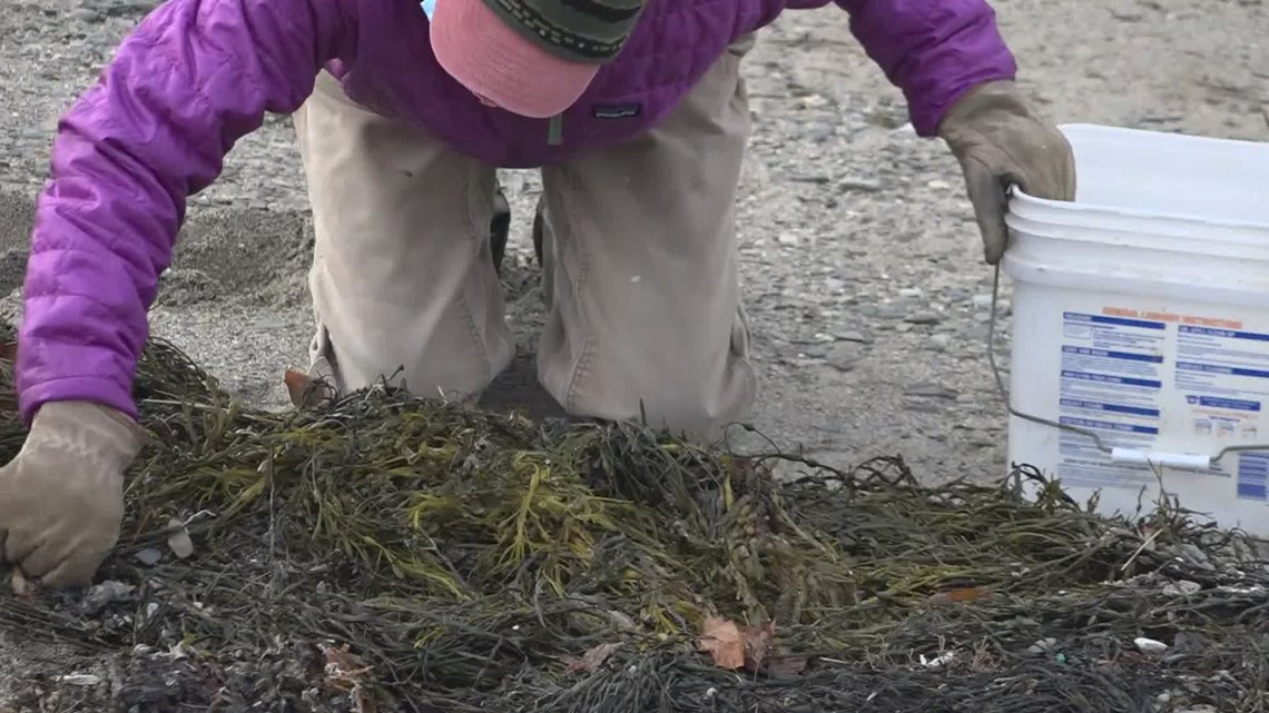 Trash spill resurfaces Maine's out-of-state trash loophole ...