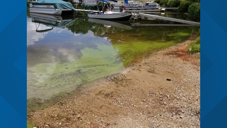 Blue-green algae bloom found in popular New Hampshire lake ...