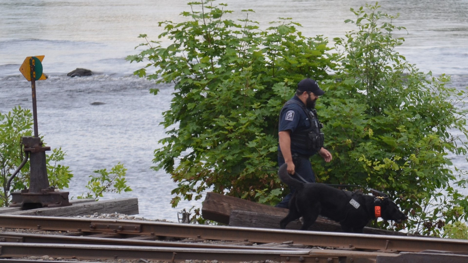 Man who jumped into river to evade police taken into custody after day ...
