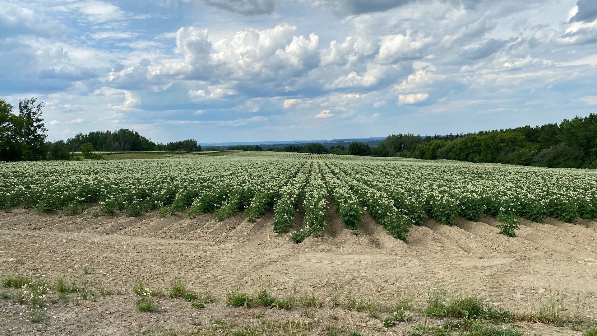 USDA invests $2.19 million to help Maine farms, agribusinesses with ...