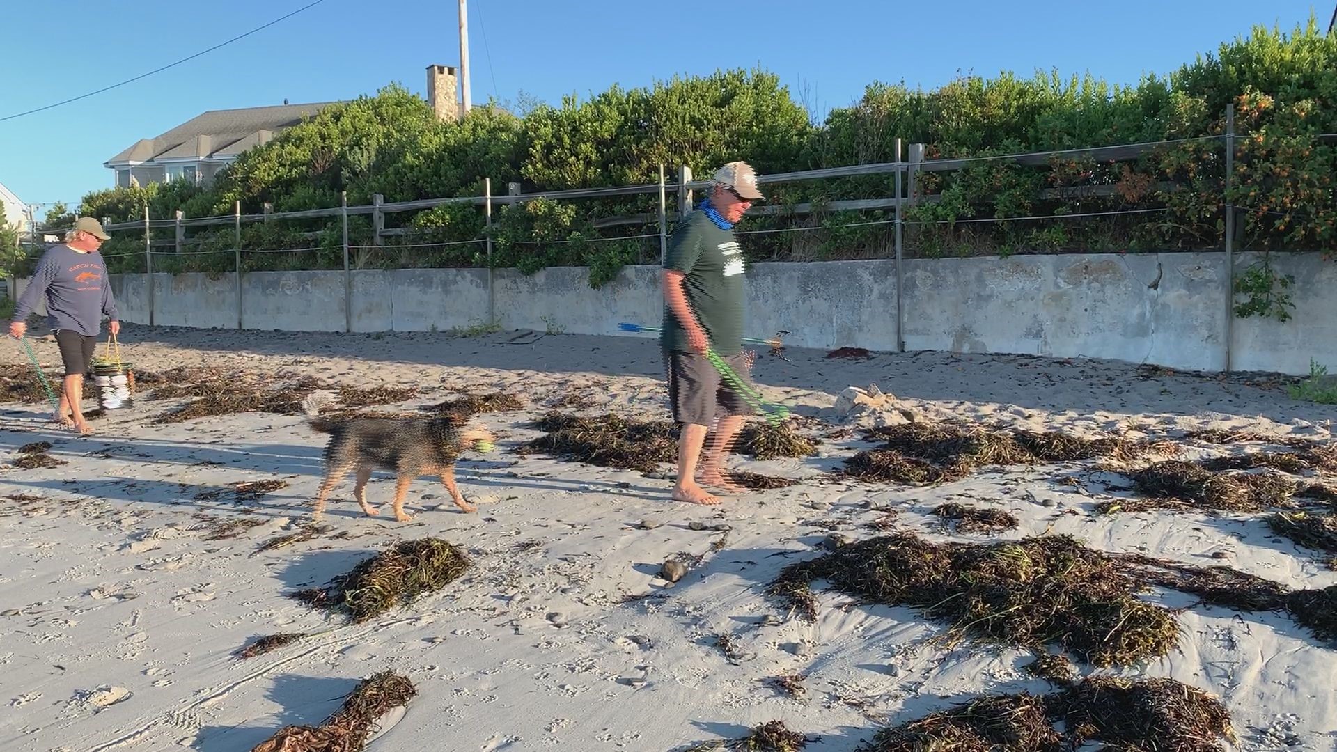Every morning for five years surfers clean-up the Maine beach they love ...